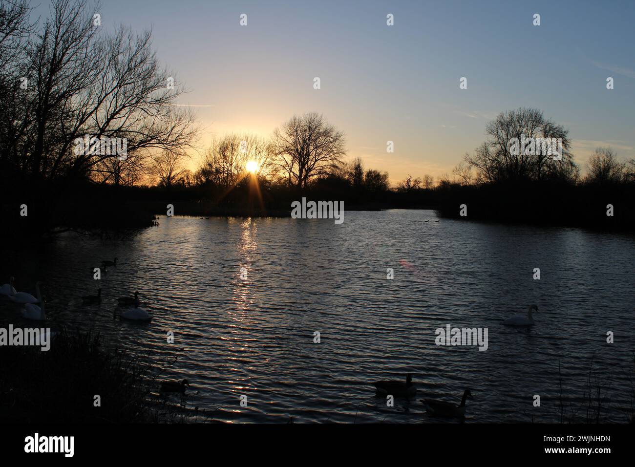 Backwell Lake at Sunset Stock Photo - Alamy