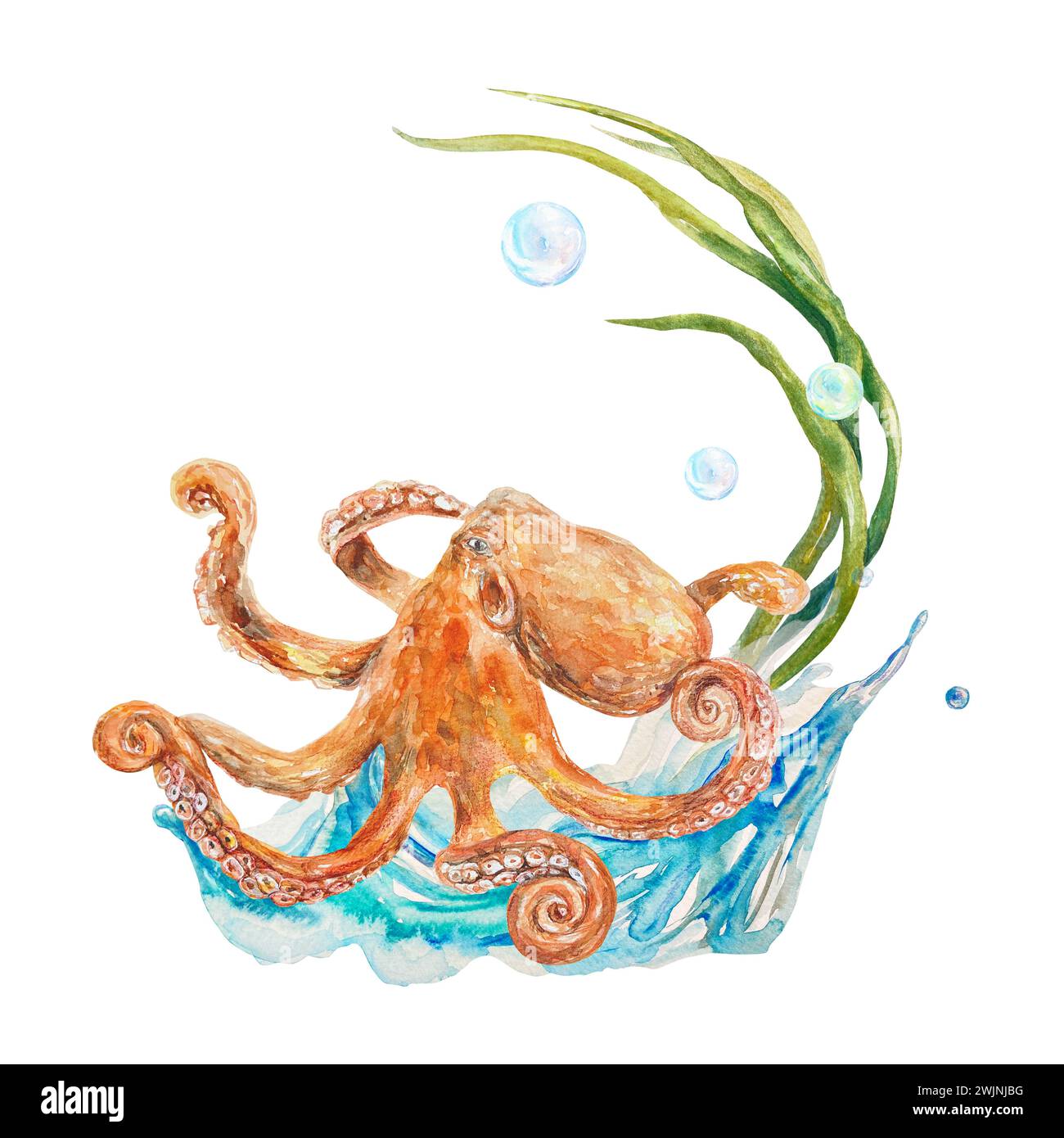 Octopus on a wave watercolor. Illustration on a marine theme, isolated ...