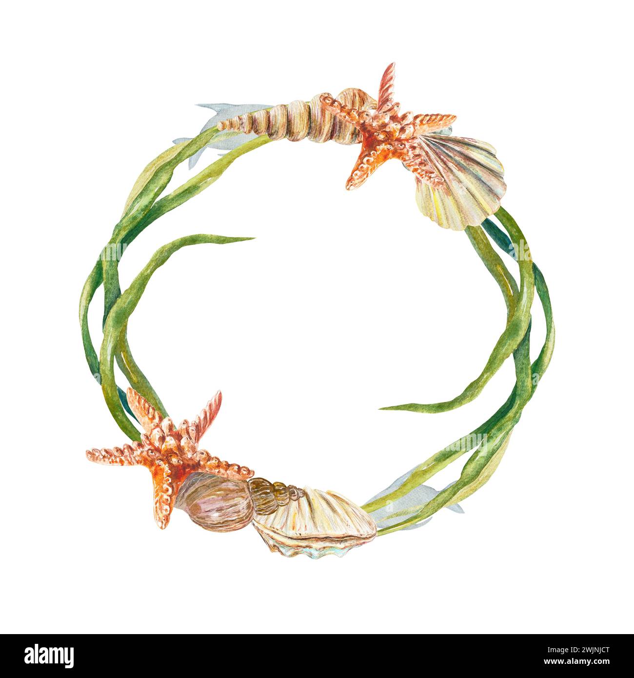 Round frame with watercolor shells, starfish and seaweed. Illustration ...