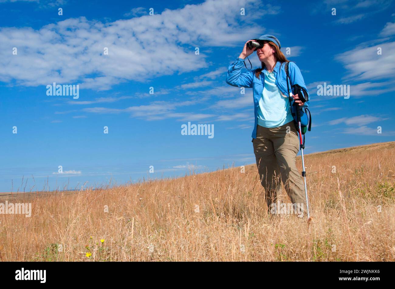 Birding along Horned Lark Trail, Zumwalt Prairie Preserve, Oregon Stock ...