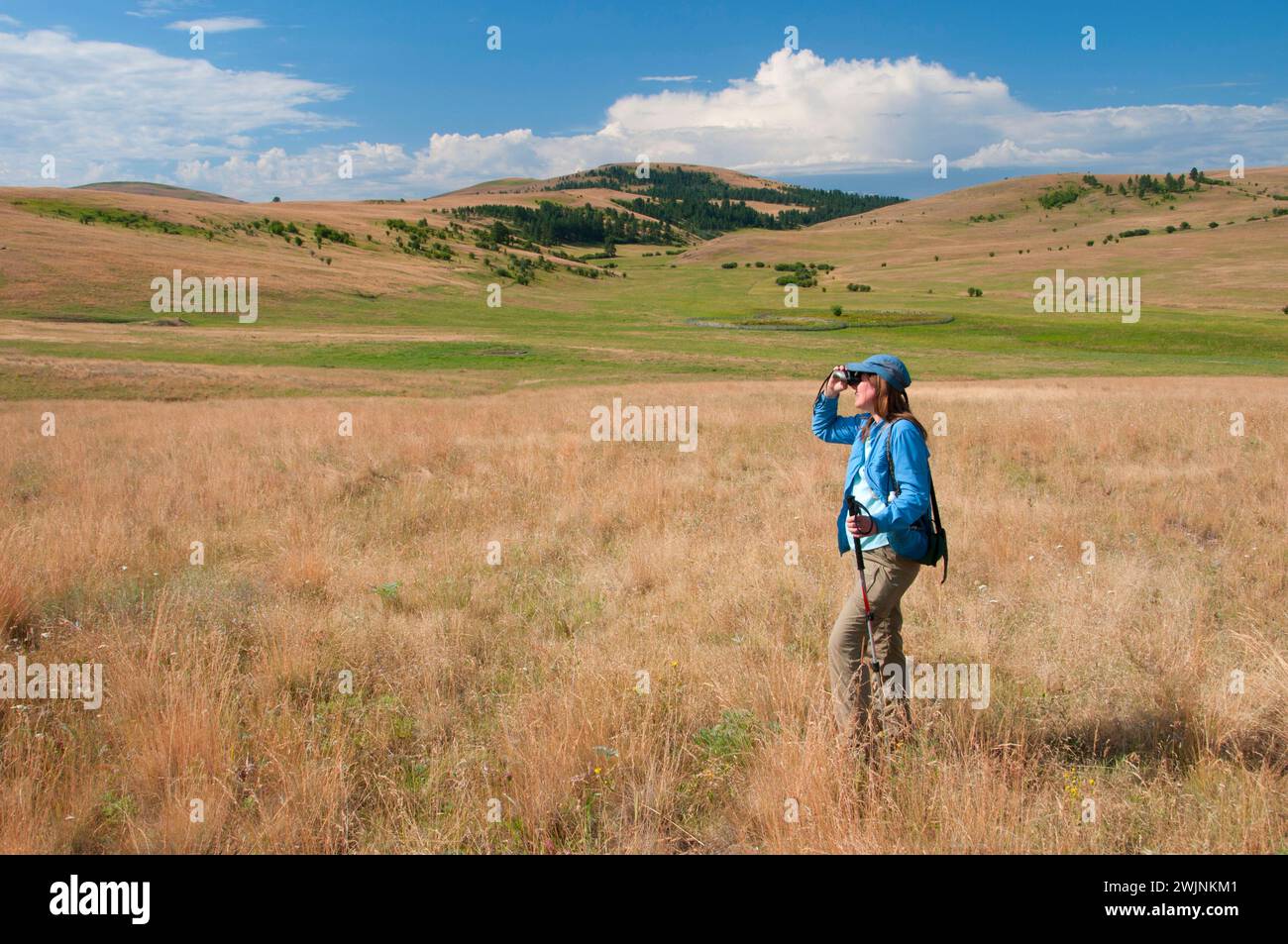 Birding along Horned Lark Trail, Zumwalt Prairie Preserve, Oregon Stock ...