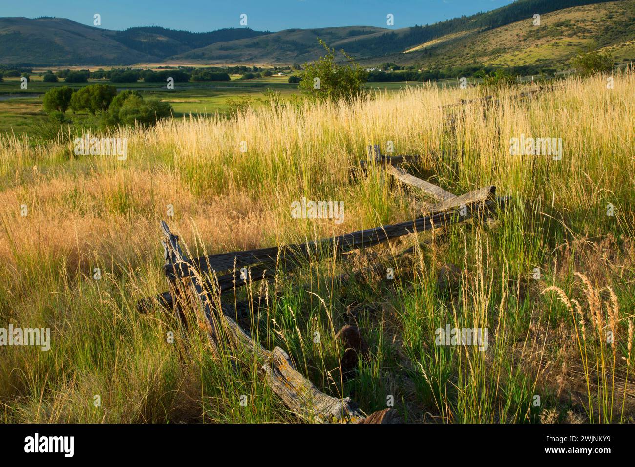 Grassland with fence, Ladd Marsh Wildlife Area, Oregon Stock Photo - Alamy