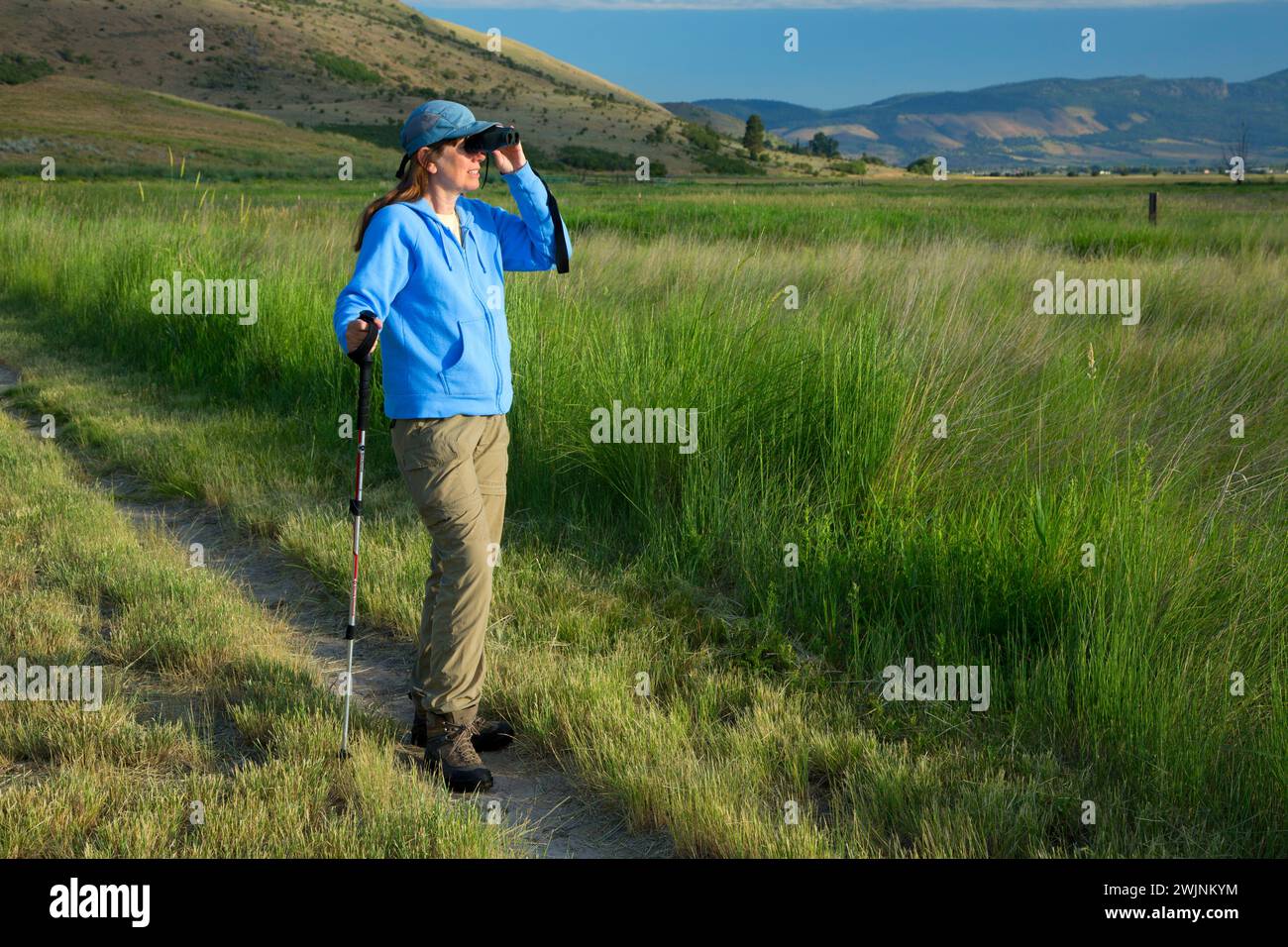 Birding, Ladd Marsh Wildlife Area, Oregon Stock Photo - Alamy