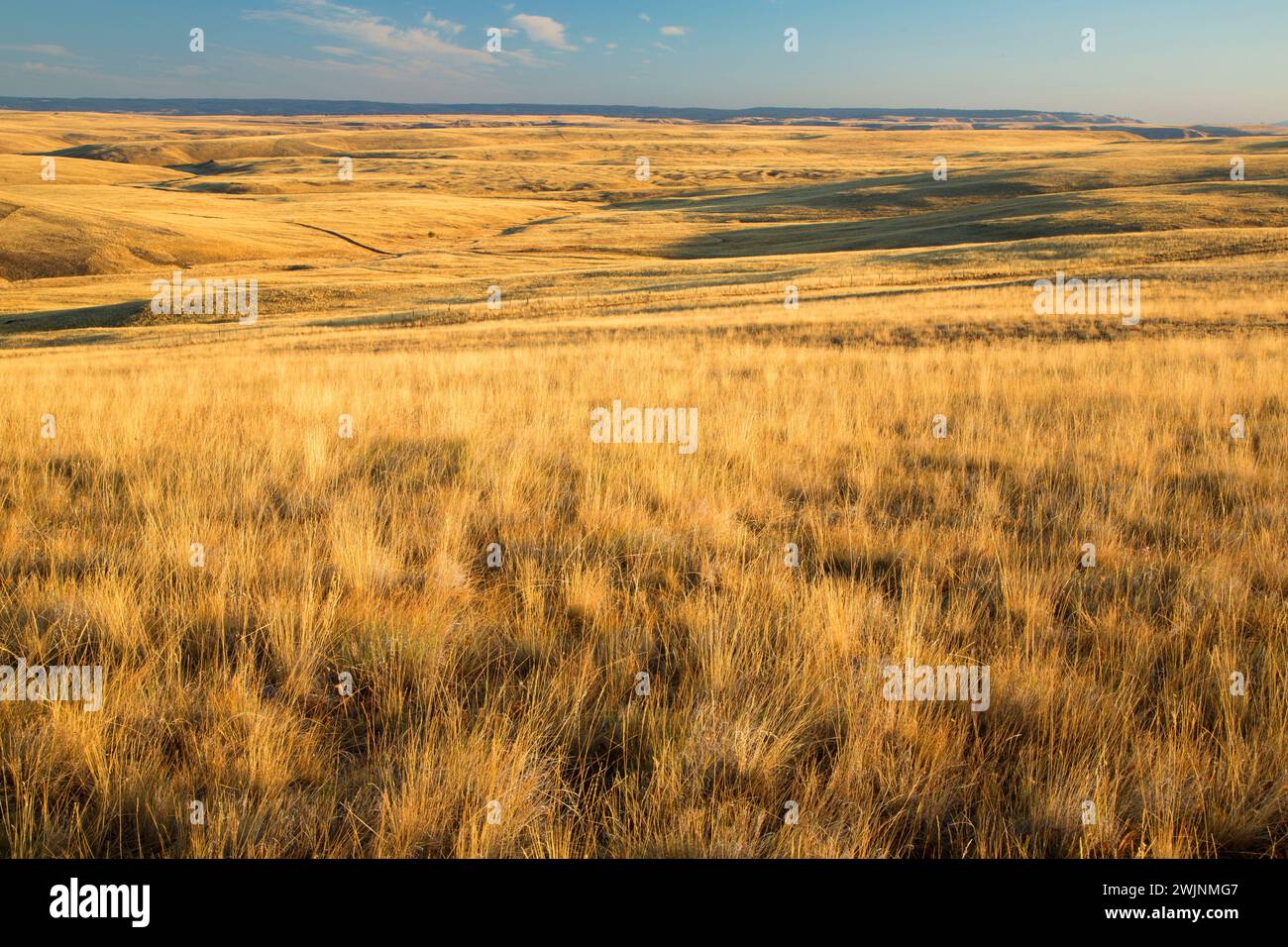 Prairie grassland from Harsin Butte Trail, Zumwalt Prairie Preserve ...