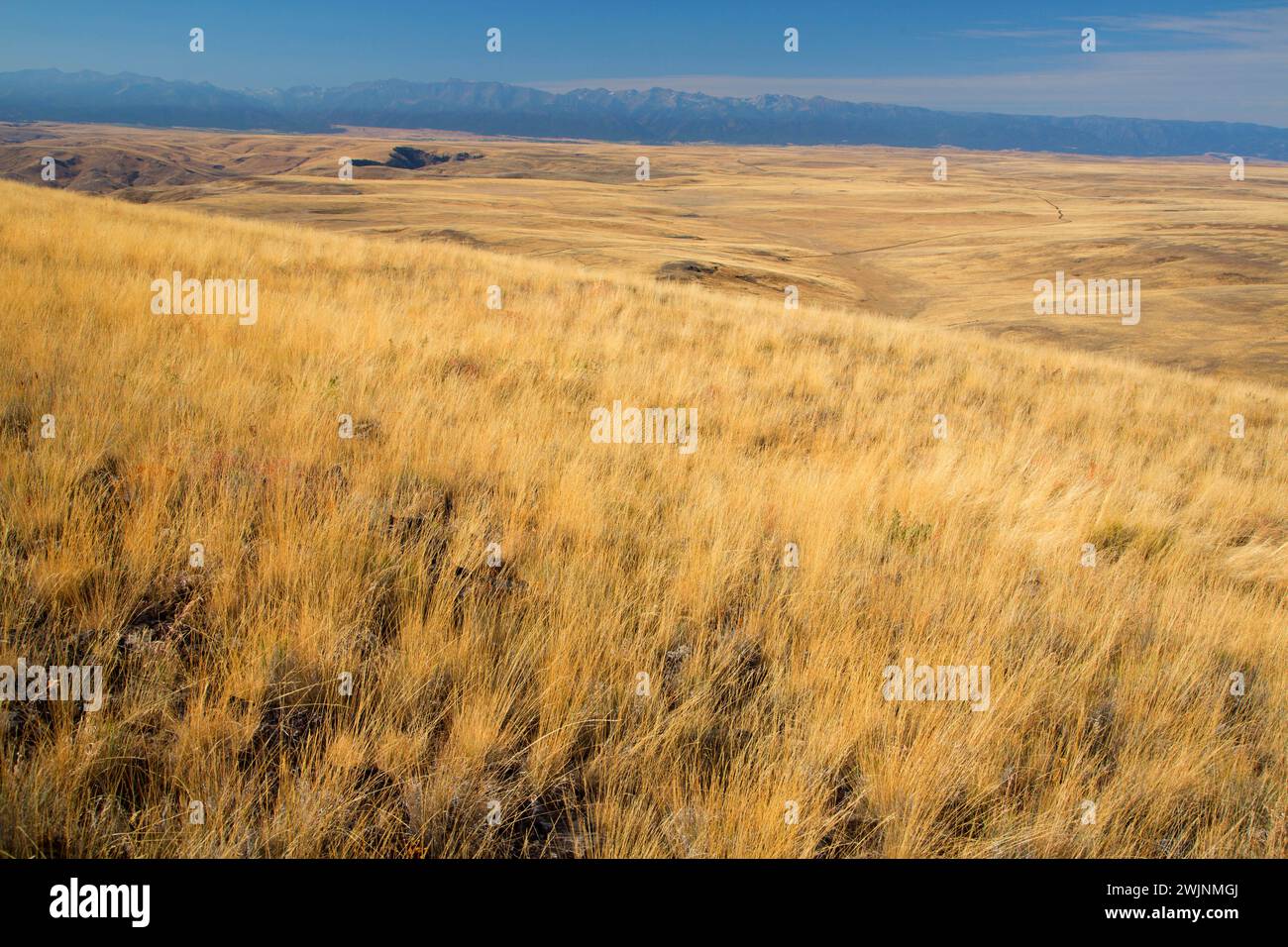 Prairie grassland from Harsin Butte Trail, Zumwalt Prairie Preserve ...