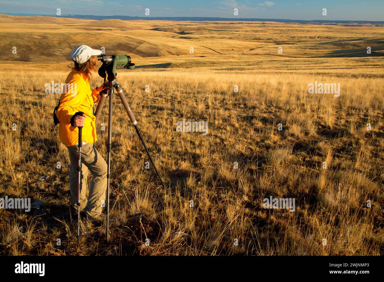 Birding from Harsin Butte Trail, Zumwalt Prairie Preserve, Wallowa ...