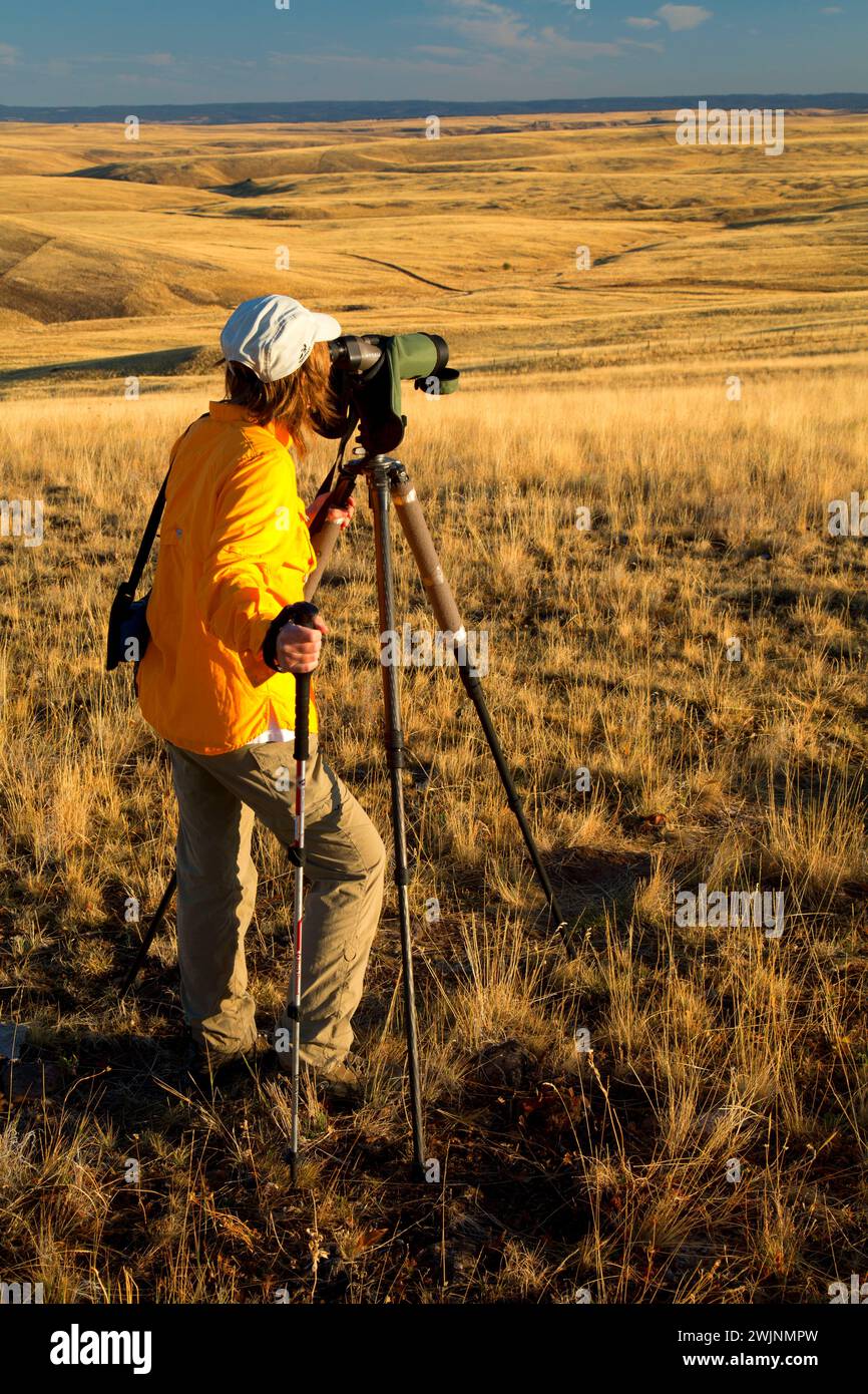 Birding from Harsin Butte Trail, Zumwalt Prairie Preserve, Wallowa ...