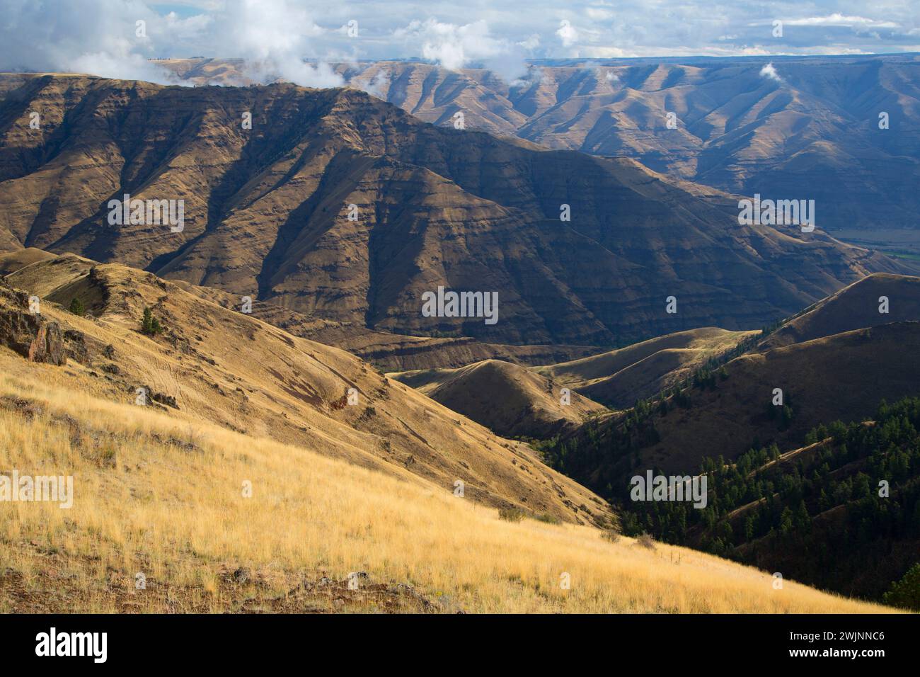 Camp Creek Canyon from Canyon Vista Trail, Zumwalt Prairie Preserve ...