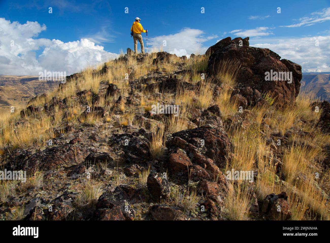 Hiker on Canyon Vista Trail, Zumwalt Prairie Preserve, Wallowa County ...