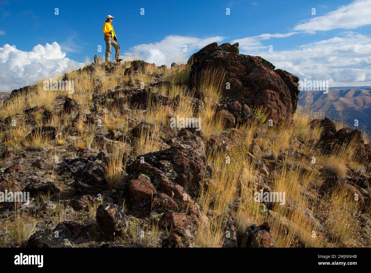 Hiker on Canyon Vista Trail, Zumwalt Prairie Preserve, Wallowa County ...