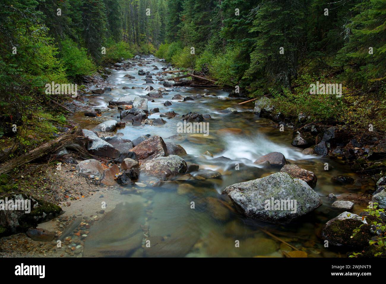 Lostine Wild and Scenic River, Wallowa-Whitman National Forest, Oregon ...