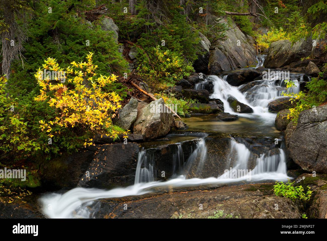 Lostine River along East Fork Lostine River Trail, Eagle Cap Wilderness ...