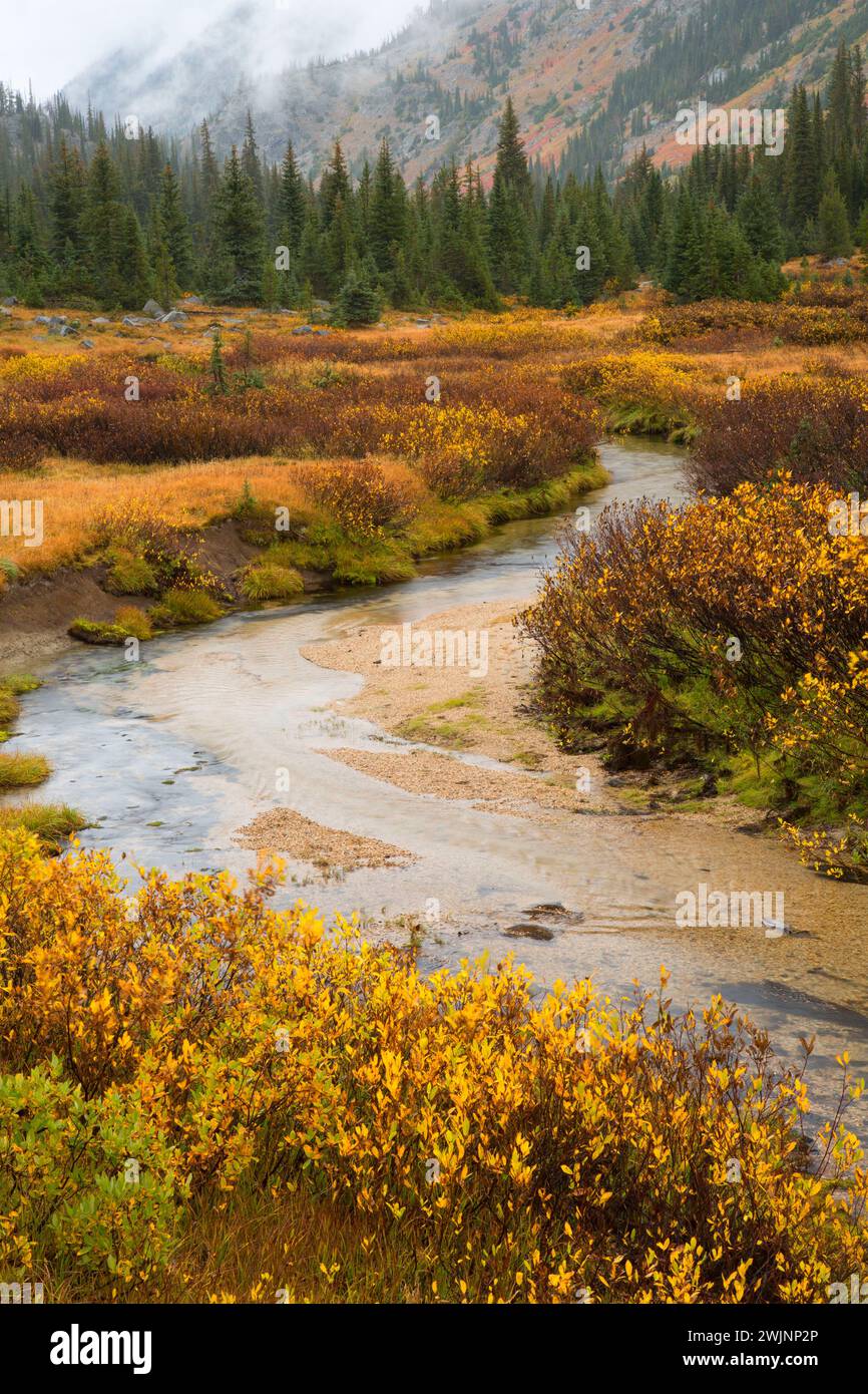 Lostine River along East Fork Lostine River Trail, Eagle Cap Wilderness ...