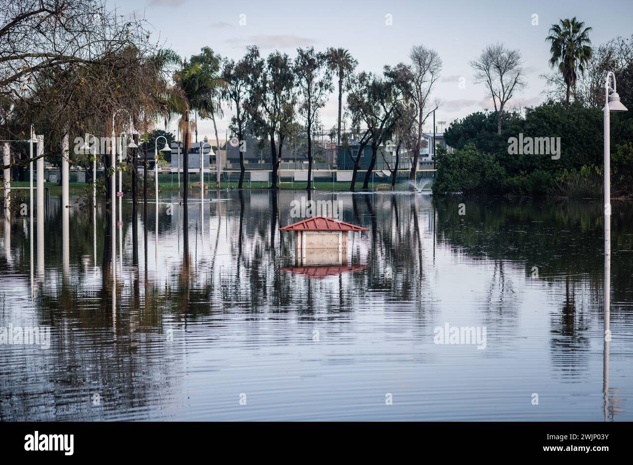 The persistent rain has flooded Polliwog Park in Manhattan Beach, CA ...