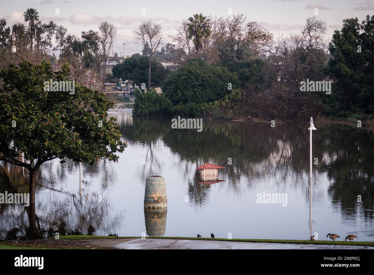 The persistent rain has flooded Polliwog Park in Manhattan Beach, CA ...