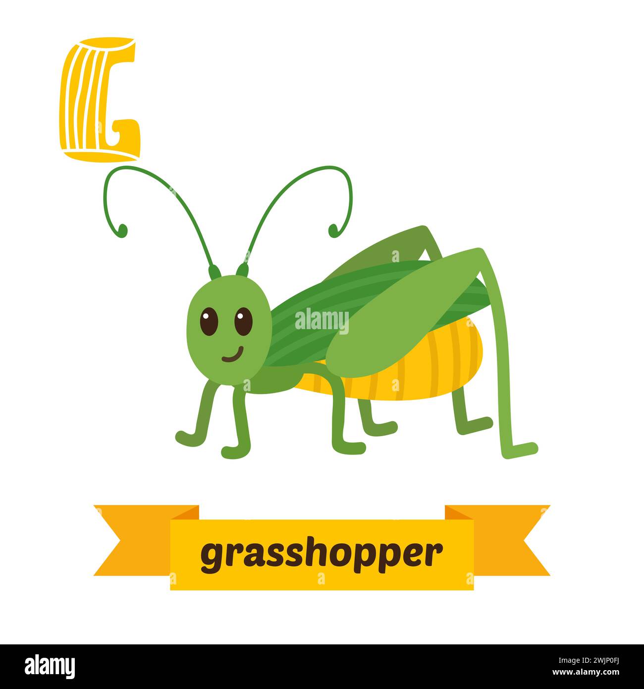 Grasshopper. G letter. Cute children animal alphabet in vector. Funny ...