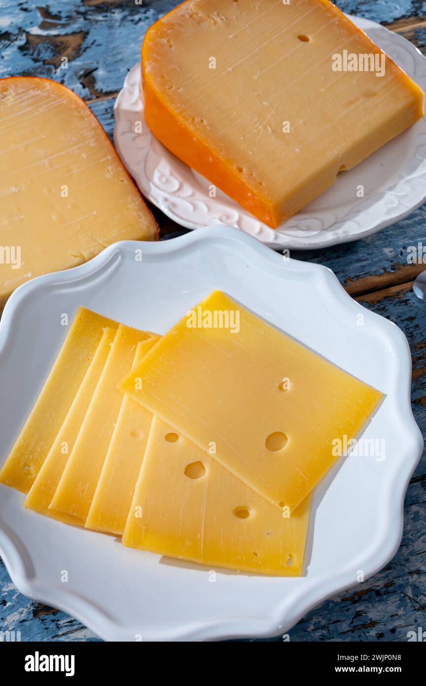Cheese collection, Dutch ripe hard chees made from cow milk in the ...