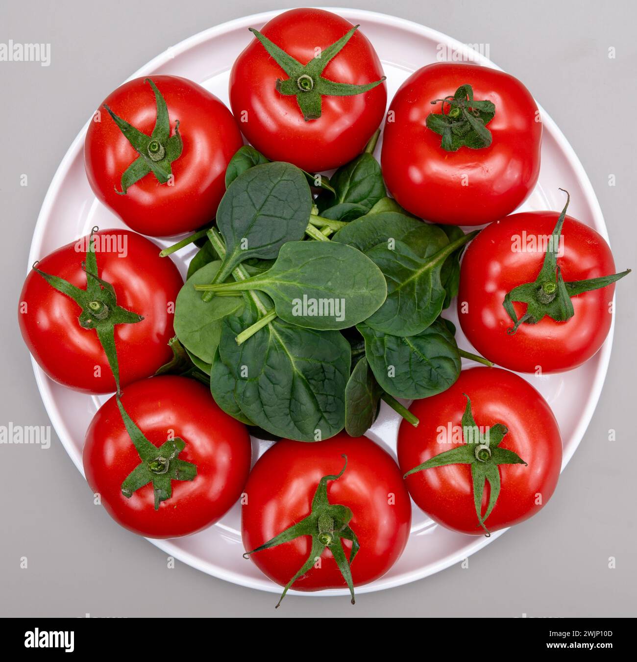 Red ripe tasty Dutch tomatoes growing indoor in greenhouse all seasons ...