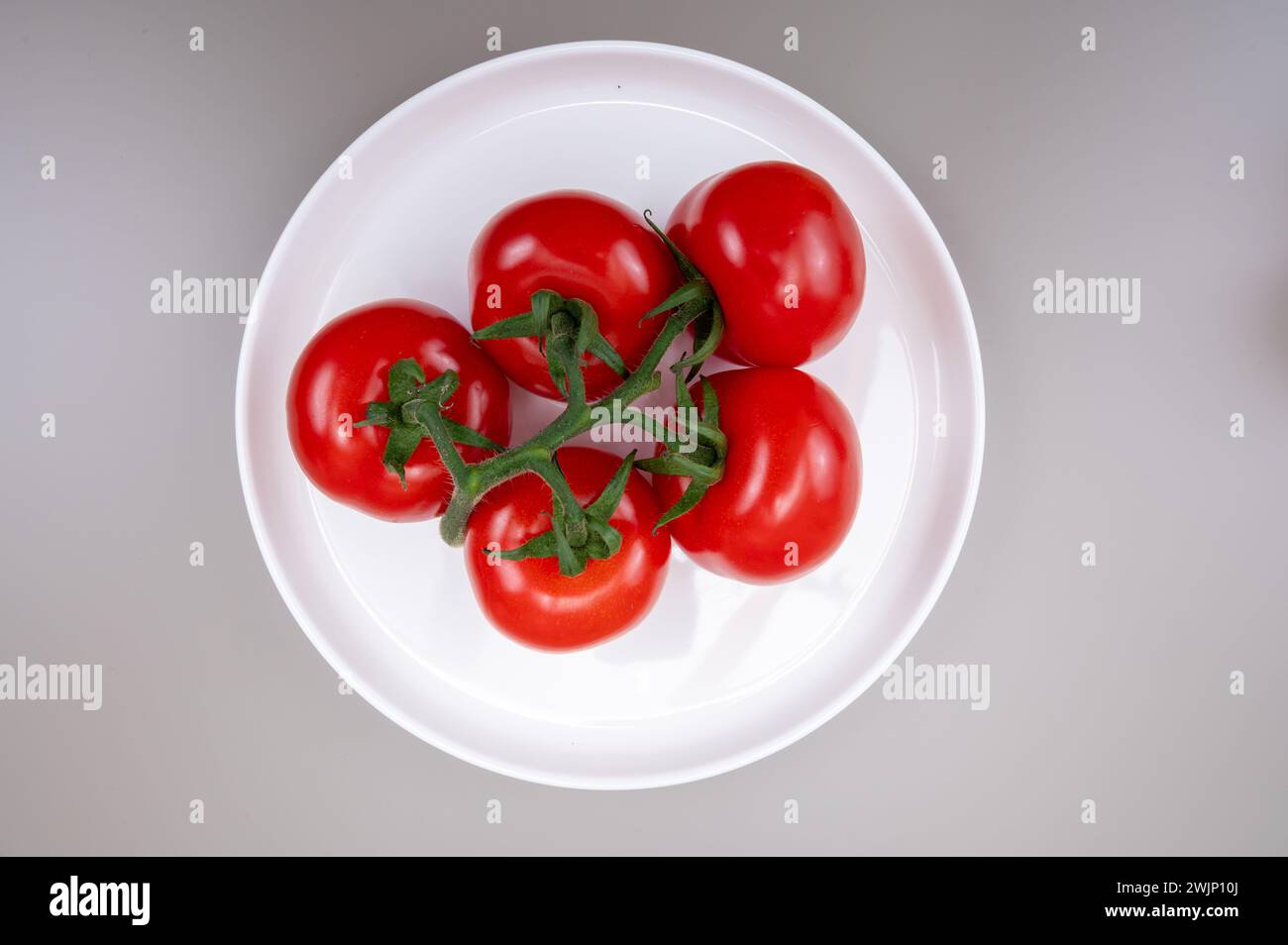 Red ripe tasty Dutch tomatoes growing indoor in greenhouse all seasons ...
