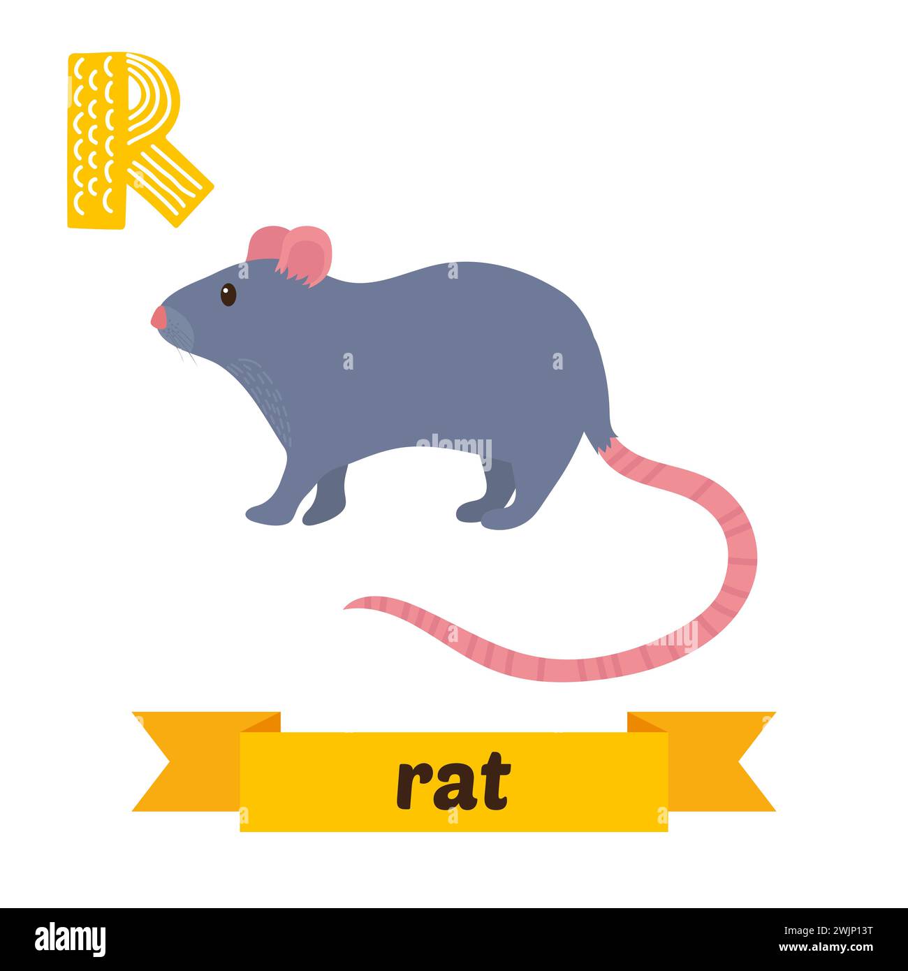 Rat. R letter. Cute children animal alphabet in vector. Funny cartoon ...
