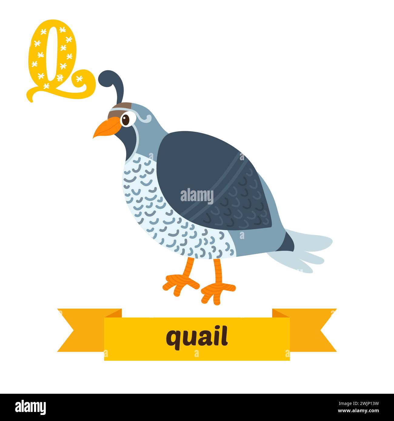 Quail. Q letter. Cute children animal alphabet in vector. Funny cartoon ...