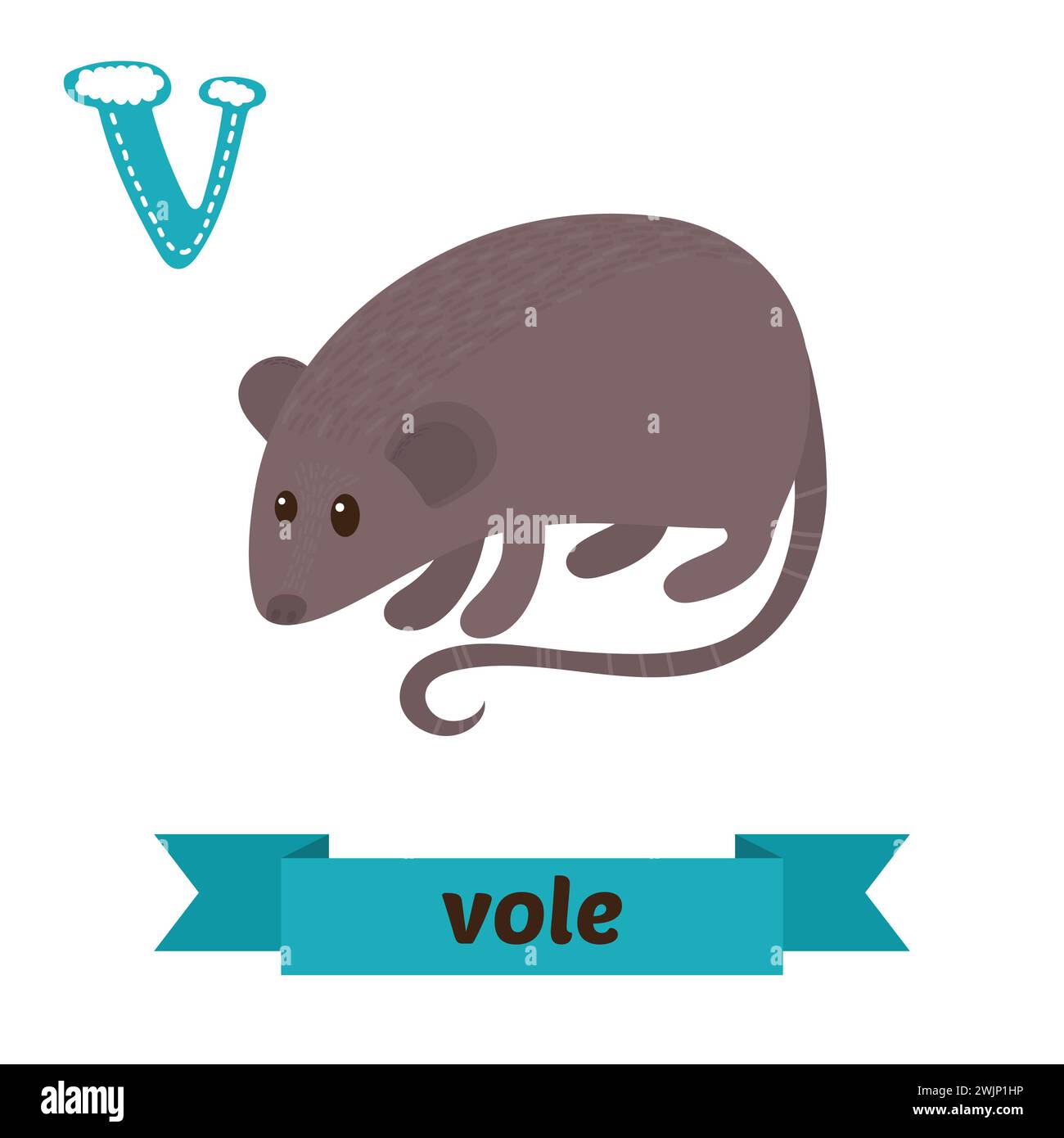 Vole. V letter. Cute children animal alphabet in vector. Funny cartoon ...