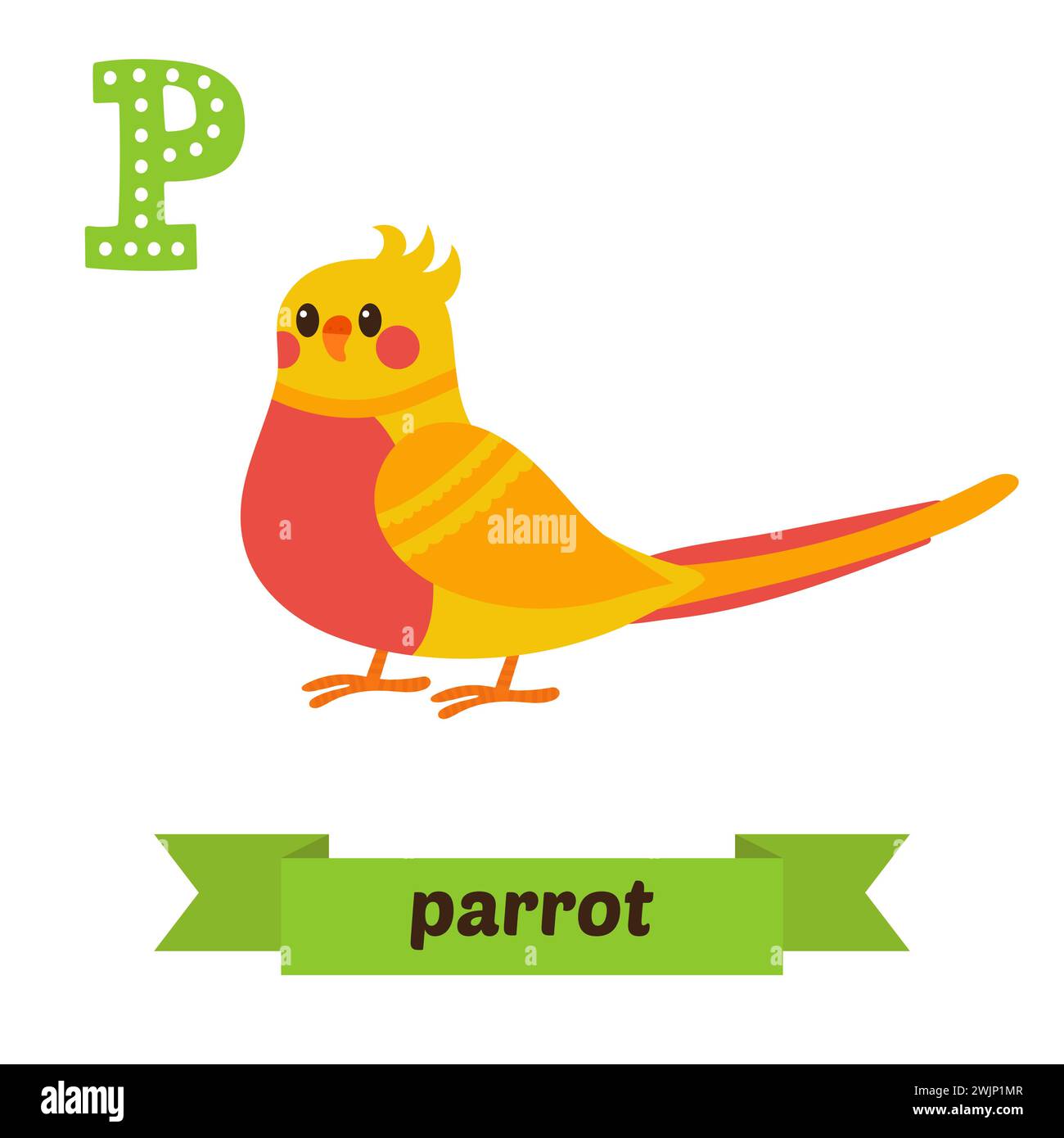 Parrot. P letter. Cute children animal alphabet in vector. Funny ...