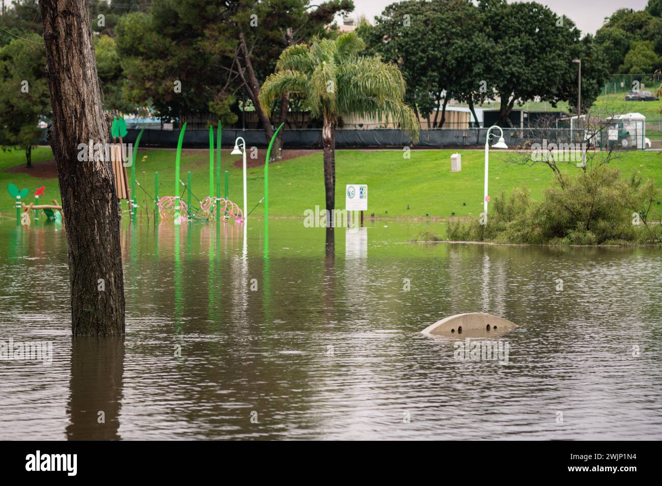 The persistent rain has flooded Polliwog Park in Manhattan Beach, CA ...