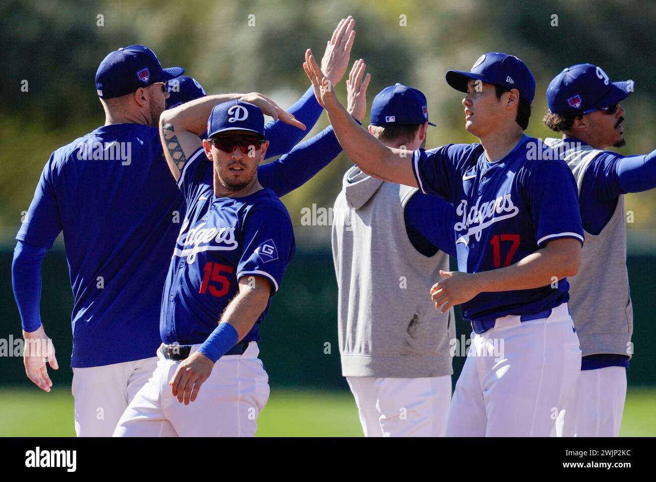 Los Angeles Dodgers designated hitter Shohei Ohtani (17) high-fives ...