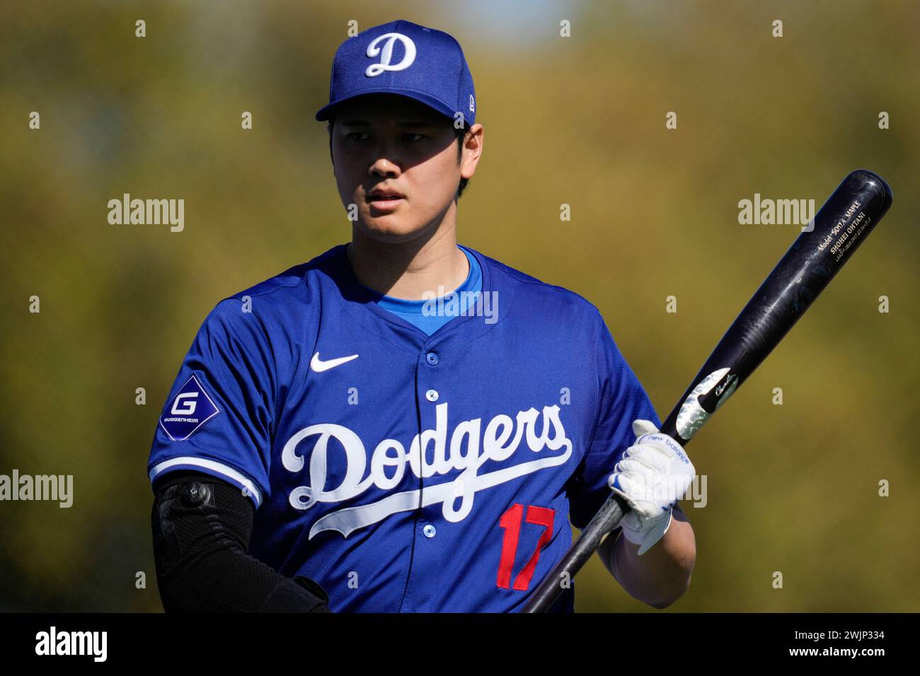 Los Angeles Dodgers designated hitter Shohei Ohtani participates in ...