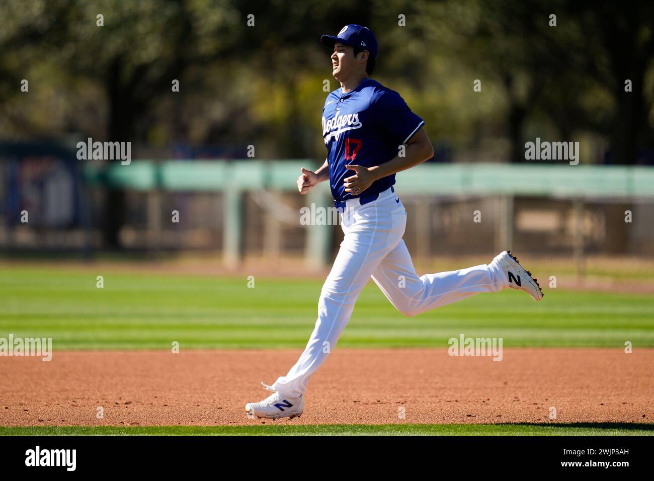 Los Angeles Dodgers designated hitter Shohei Ohtani participates in ...