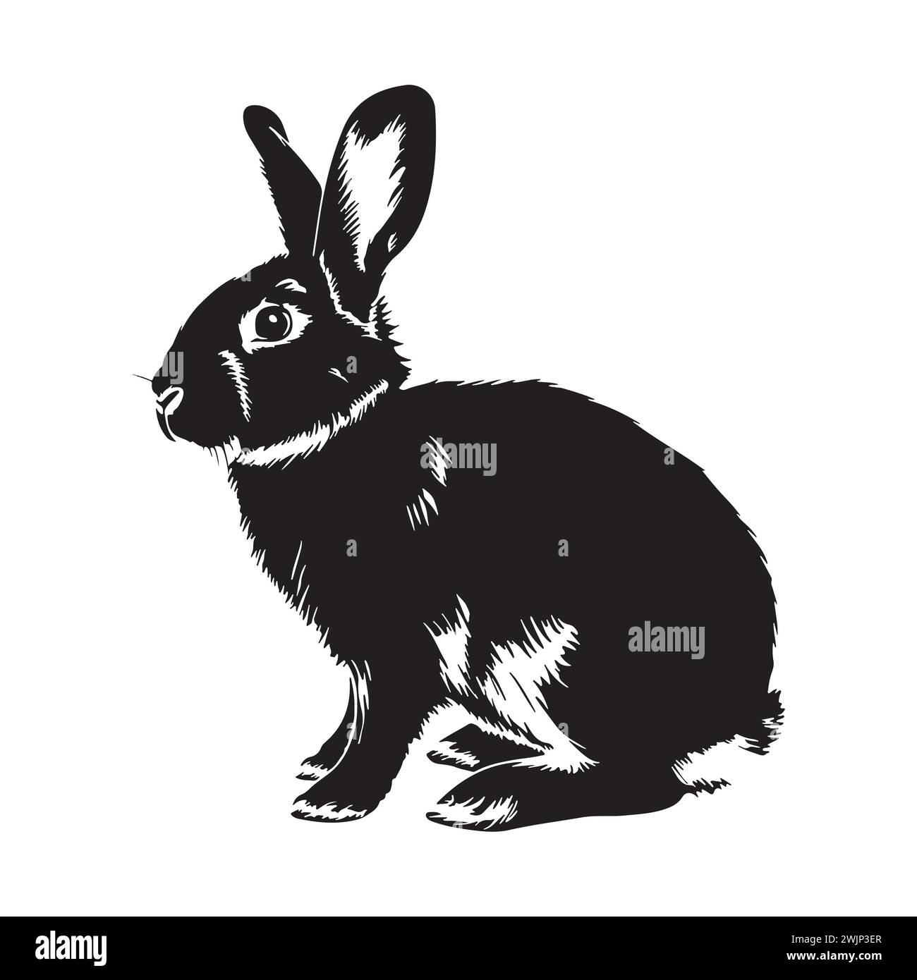 Sketch Realistic Rabbit Silhouette Illustration. Furry Easter Bunny ...