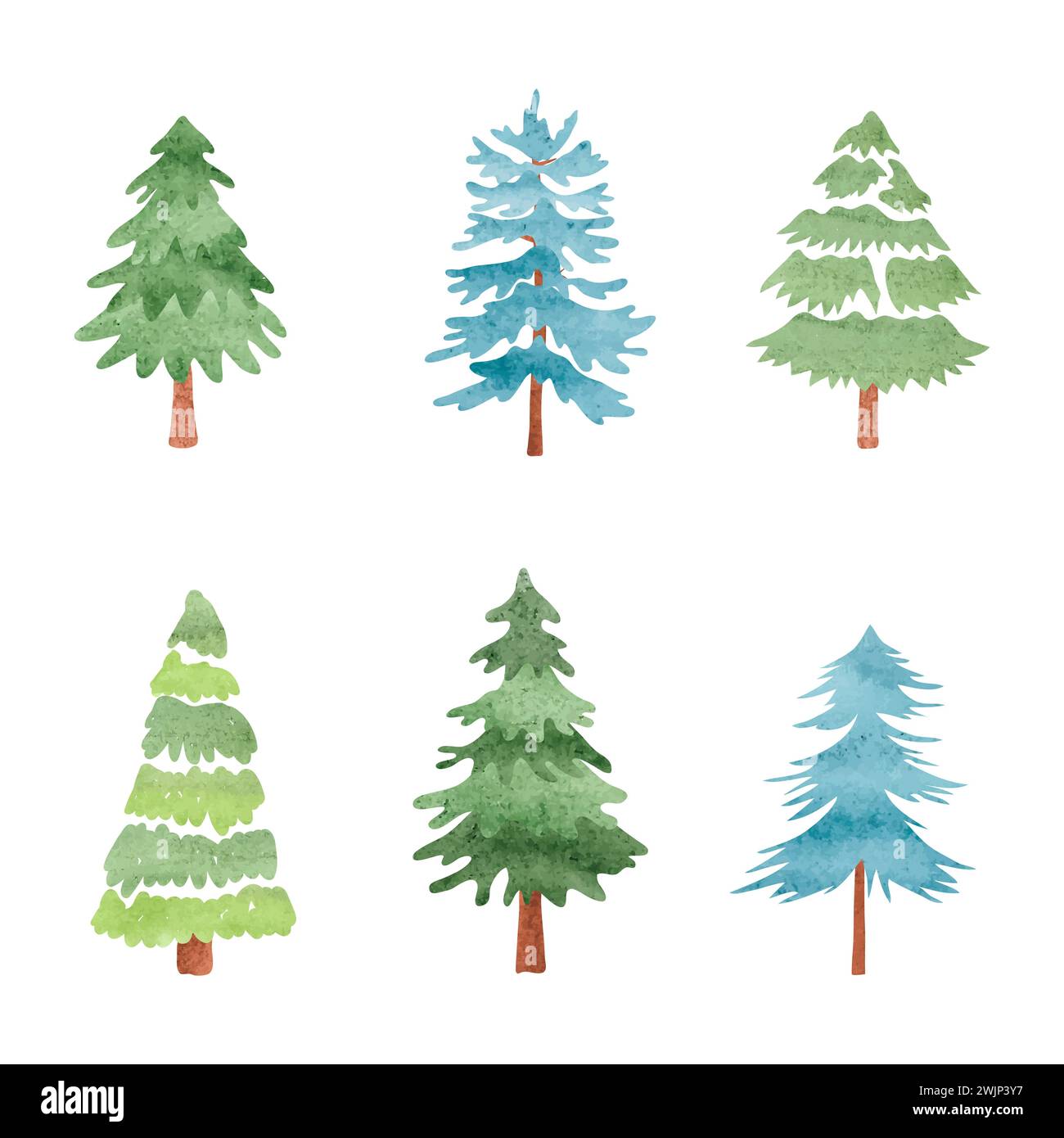 Pine tree and fir tree set. Vector Christmas watercolor illustration ...