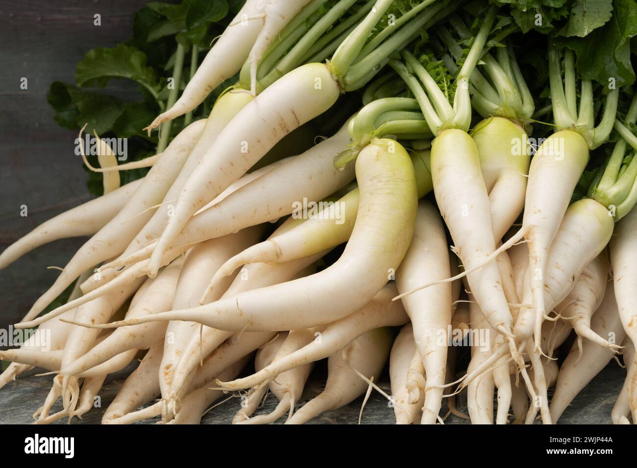 Fresh daikon on market as food background. Organic texture. Local food ...
