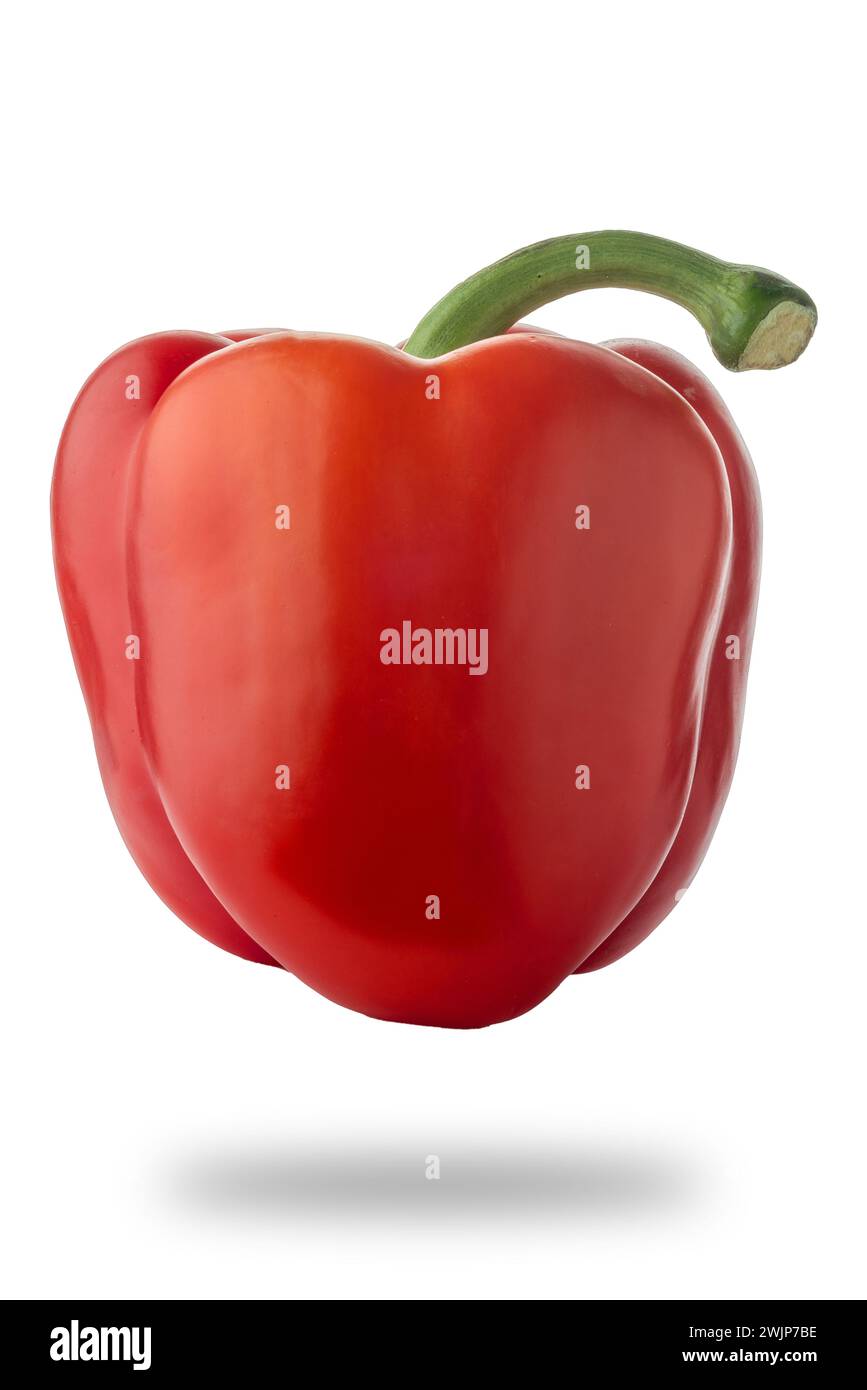 Red pepper with green stalk isolated on white with clipping path ...