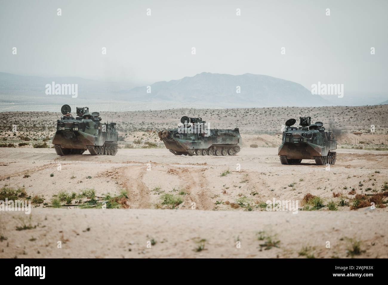 U.S. Marine Corps Amphibious Assault Vehicles in support of 2nd ...