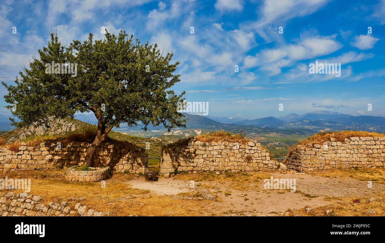 Ruins of ancient walls with a prominent tree in front, surrounded by a ...