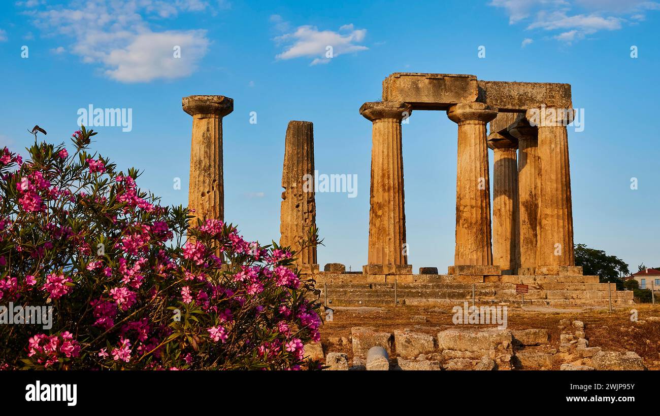 Archaic Temple of Apollo, Doric columns, The remains of an ancient Greek temple surrounded by ...