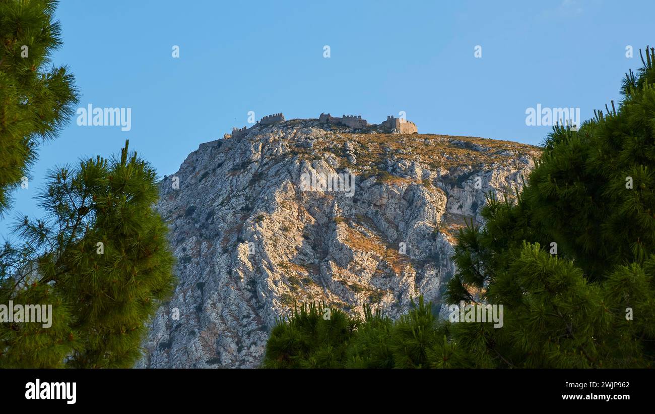 An ancient castle crowning a majestic hilltop, framed by fir trees ...