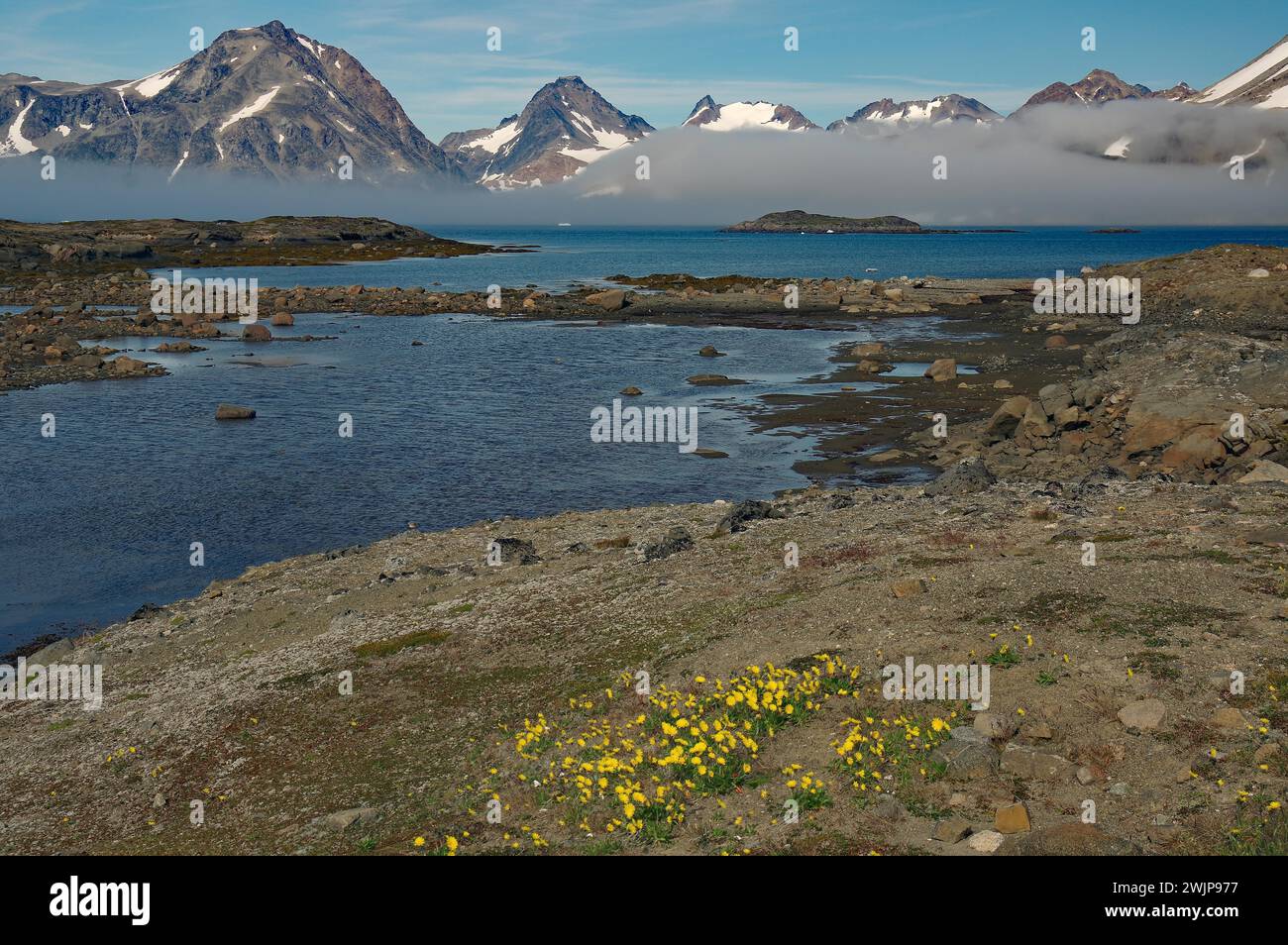 Fog and barren coastal landscape with high mountains, Kulusuk, Arctic ...