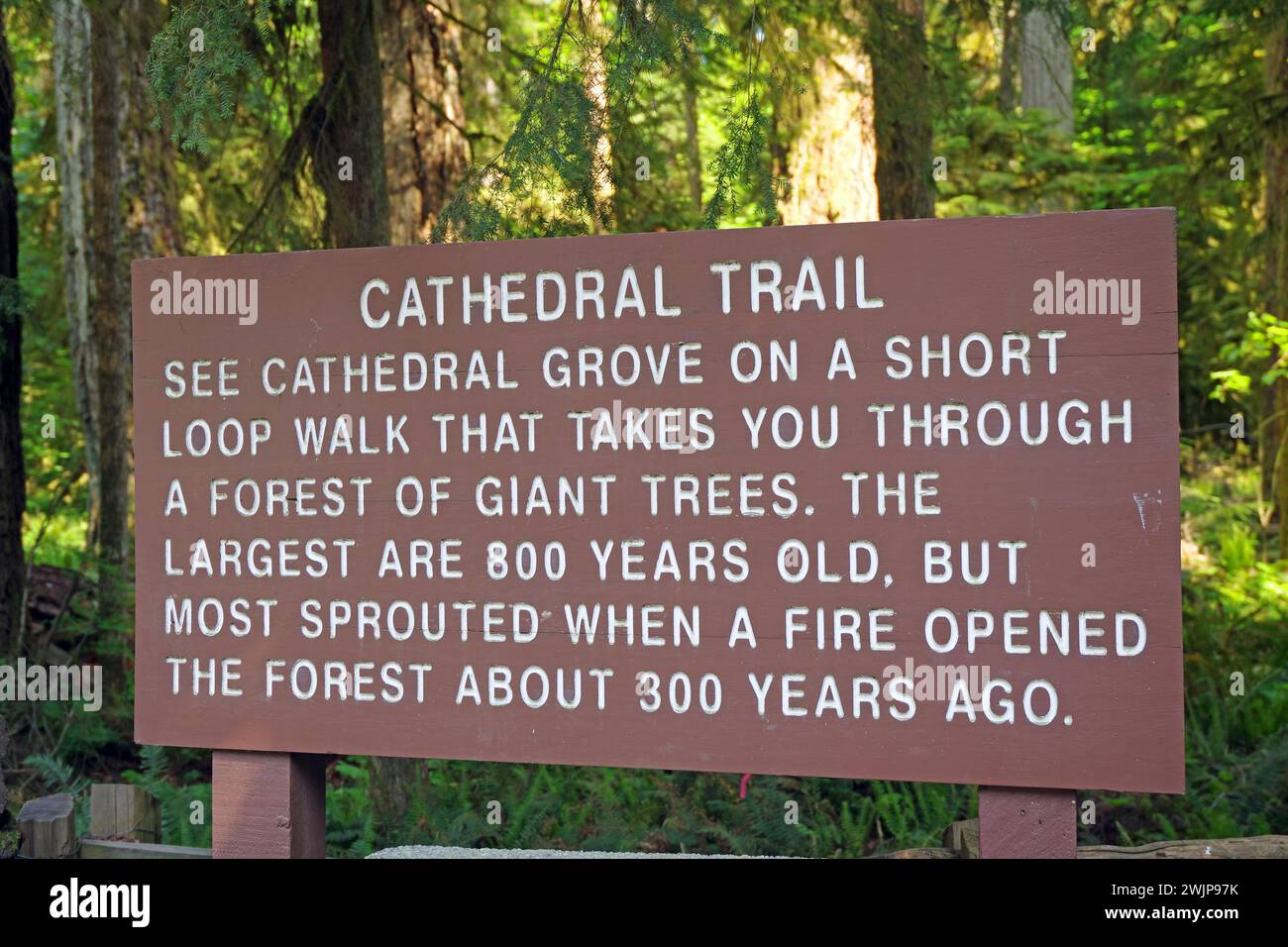 Signs describing the woods and a trail, Cathredral Grove, MacMillan ...