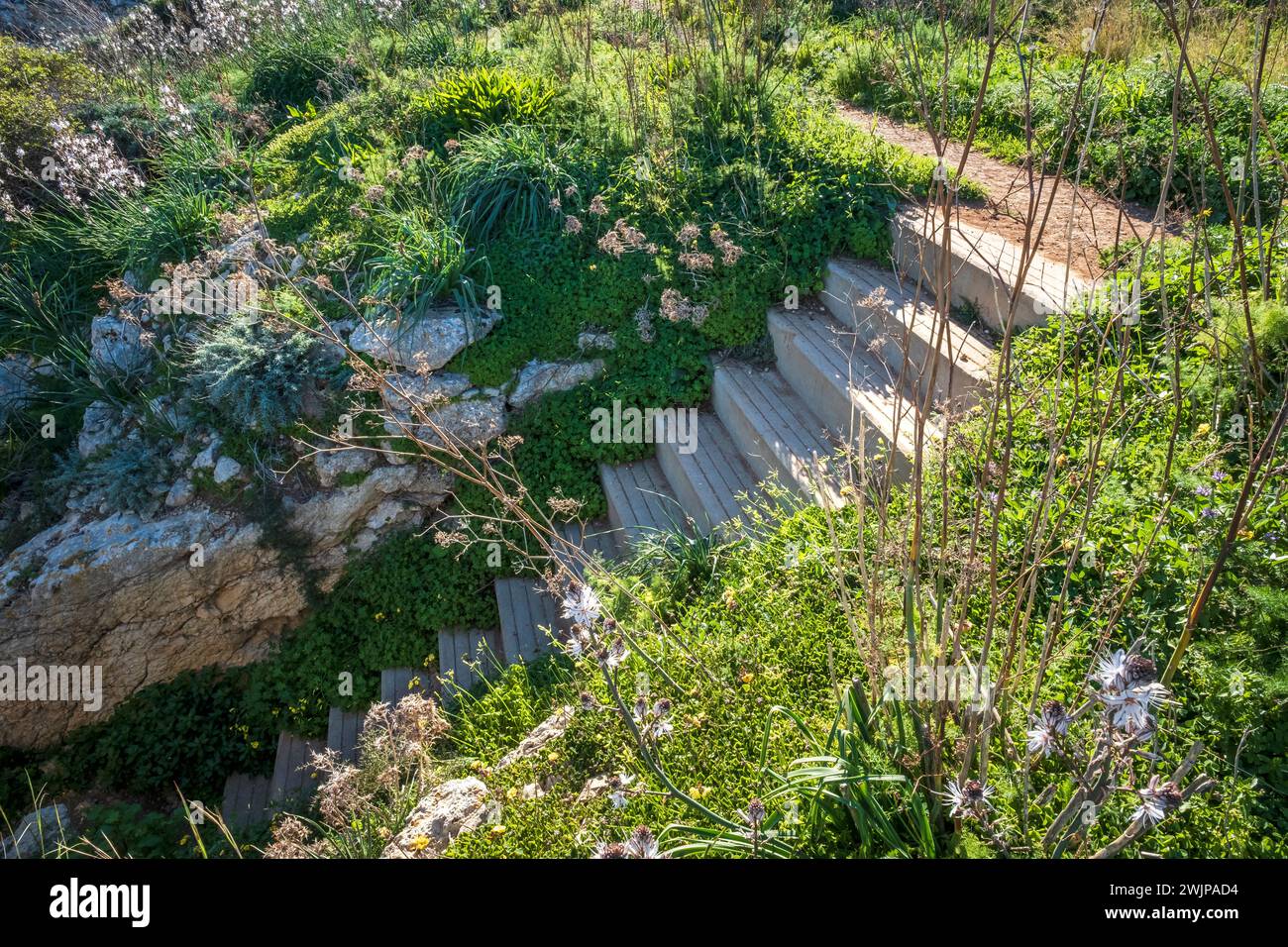 Stone steps at a British Army military battery at Mistra, Malta Stock ...