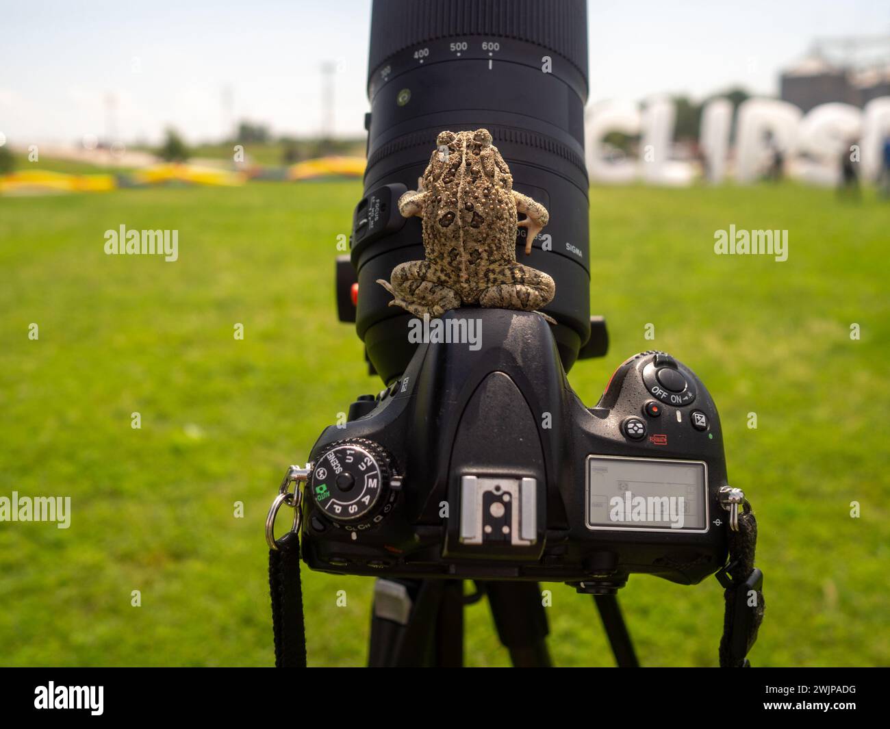 Solar eclipse city hi-res stock photography and images - Alamy