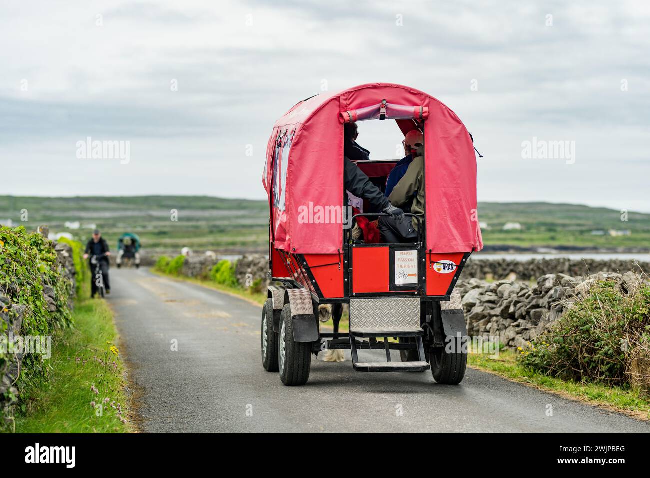 Neolithic horse hi-res stock photography and images - Alamy