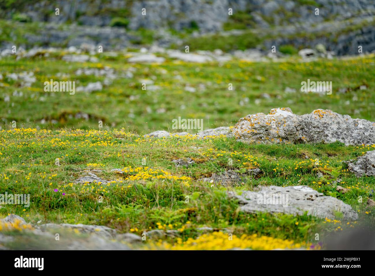 Spectacular landscape in the Burren region of County Clare, Ireland ...