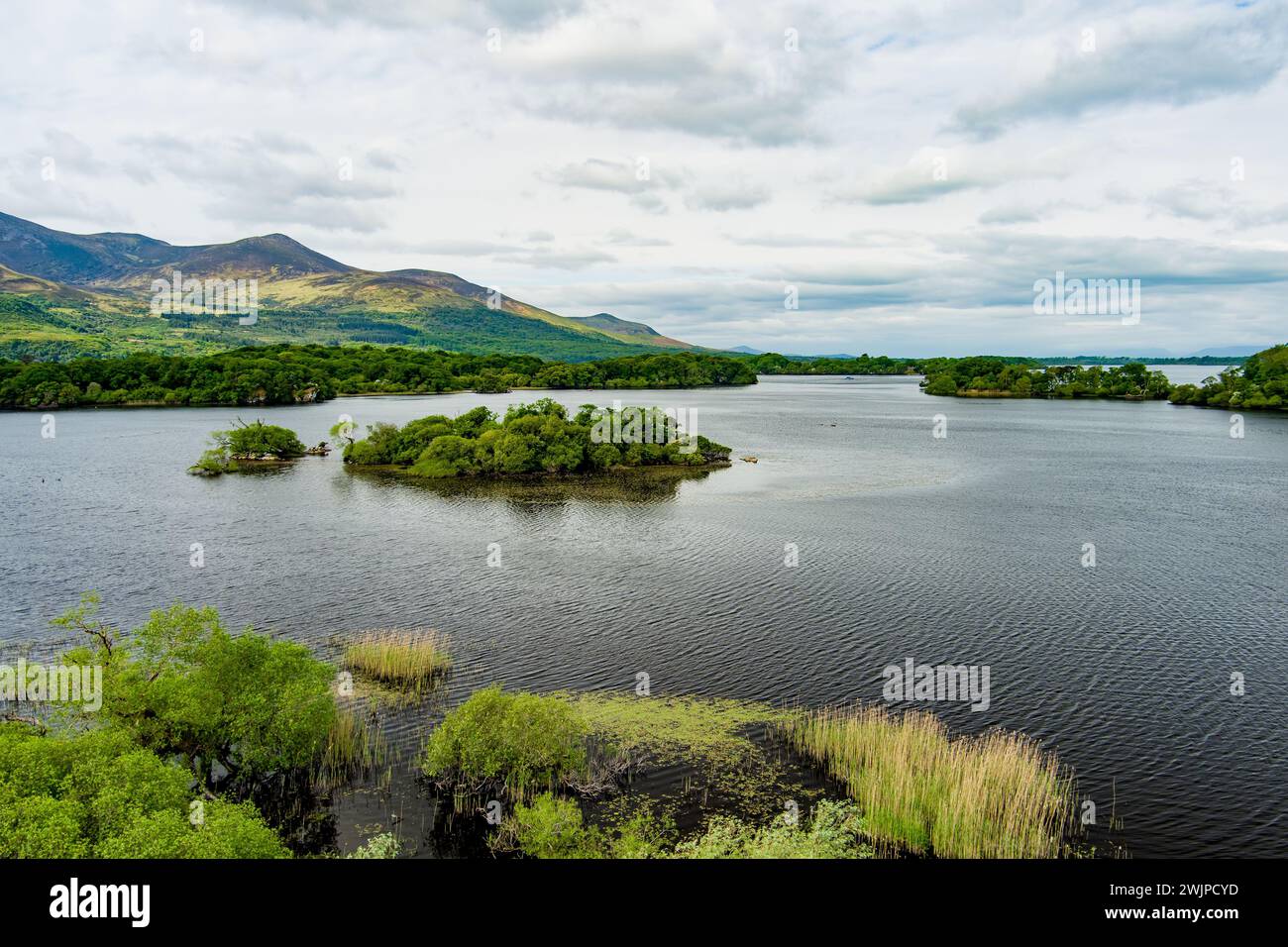 Aerial view of Lough Leane, huge lake located in Killarney National ...
