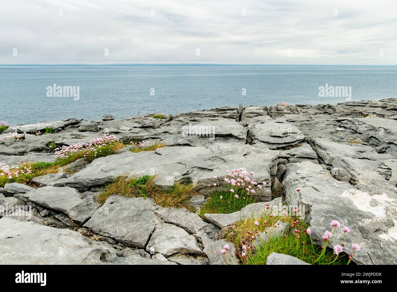 Spectacular misty landscape in the Burren region of County Clare ...