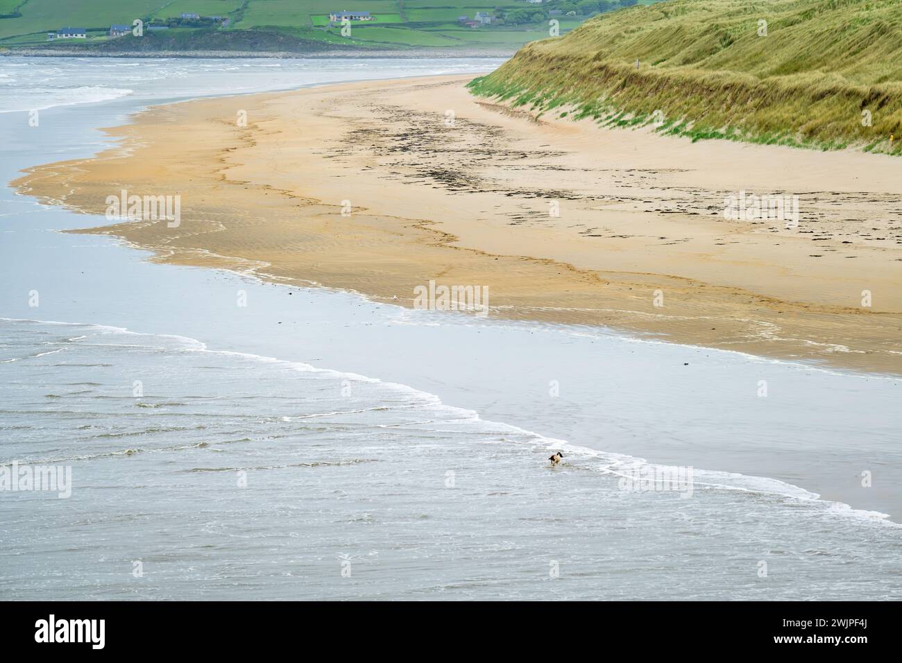 Spectacular Tullan Strand, one of Donegal's renowned surf beaches ...