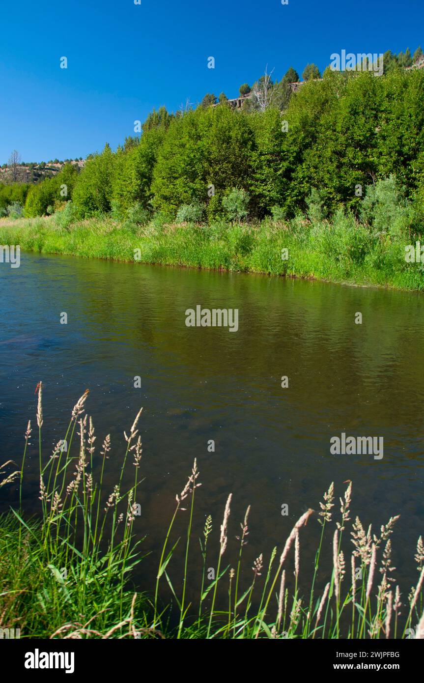 Donner und Blitzen Wild and Scenic River, Steens Mountain Recreation ...