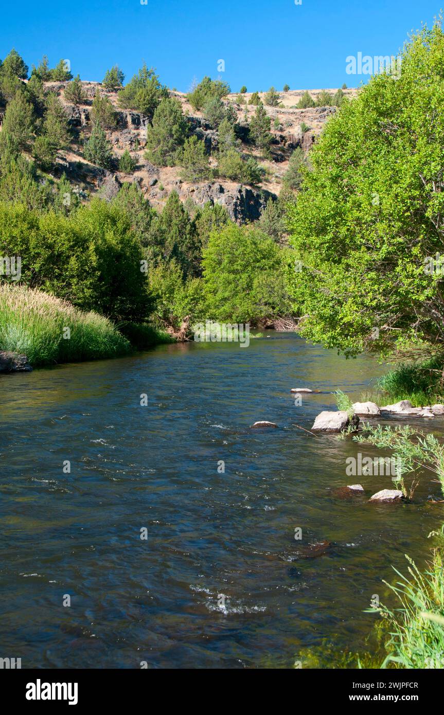 Donner und Blitzen Wild and Scenic River, Steens Mountain Recreation ...